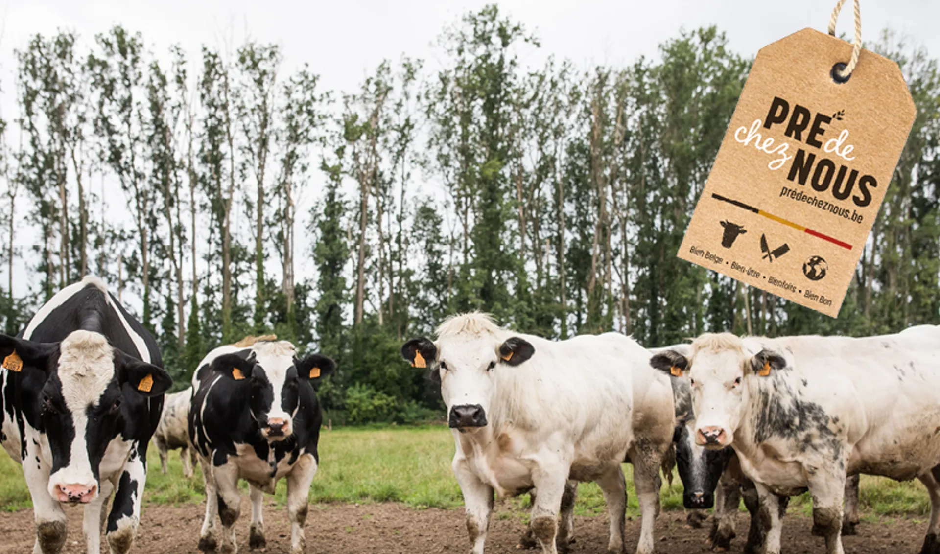NIEUW BELGISCH KWALITEITSLABEL “PRÉ DE CHEZ NOUS” PAKT UIT MET DUURZAAM ...